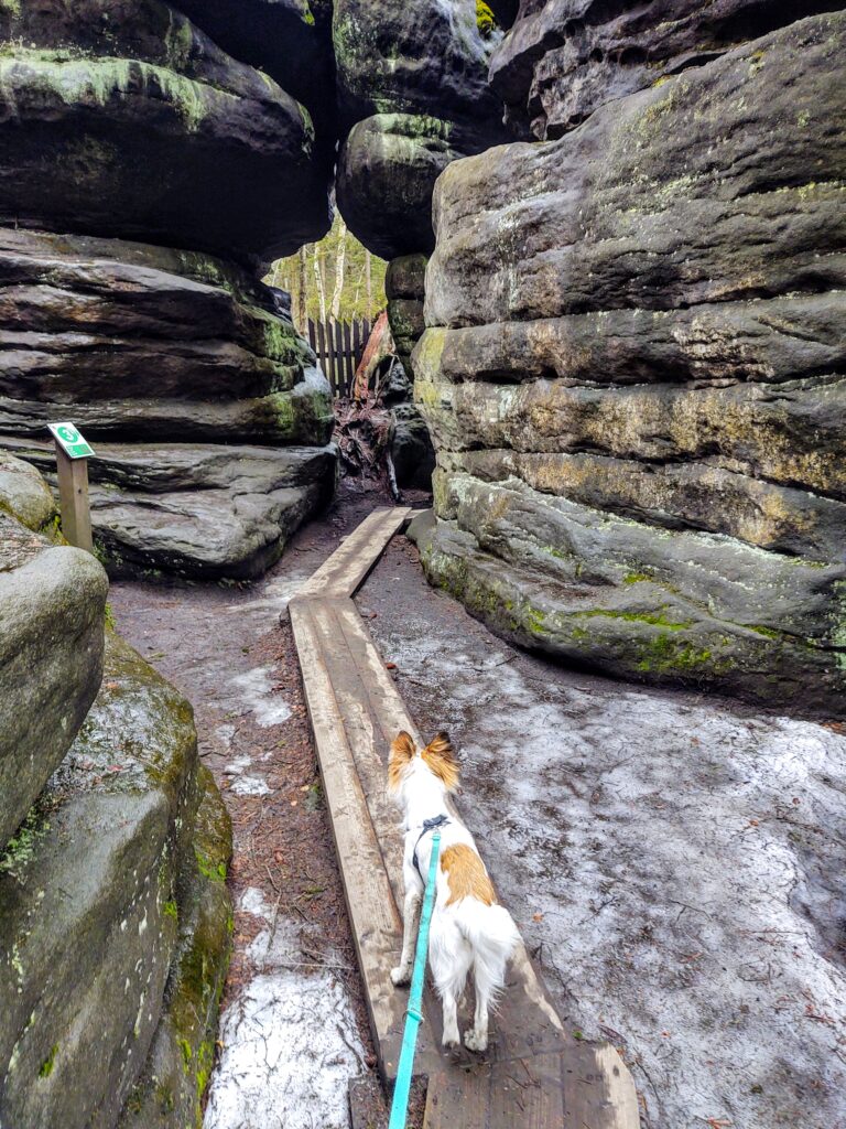 Labyrinth Błędne Rocks in Stołowe Mountains in Poland - Experience Europe